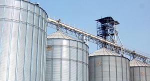 Home - Cibadak Indah Sari FarmCibadak Indah Sari Farm